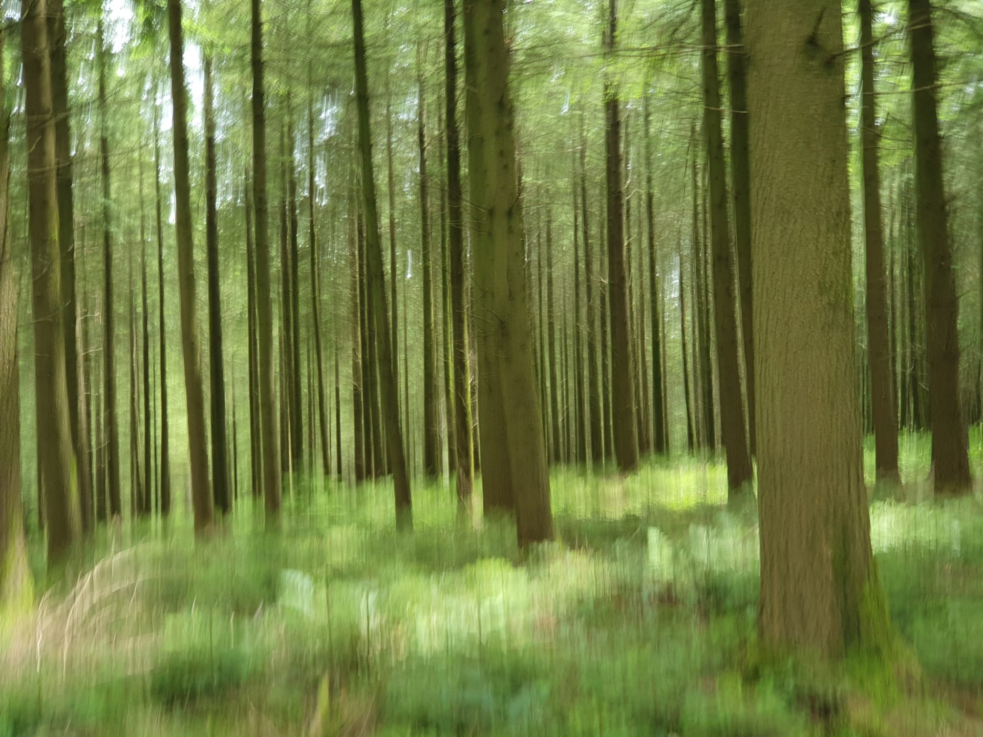 The forest goddess of Belgium: Arduinna – Signe Maene