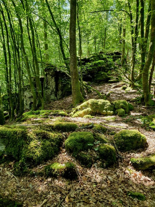 The forest goddess of Belgium: Arduinna – Signe Maene